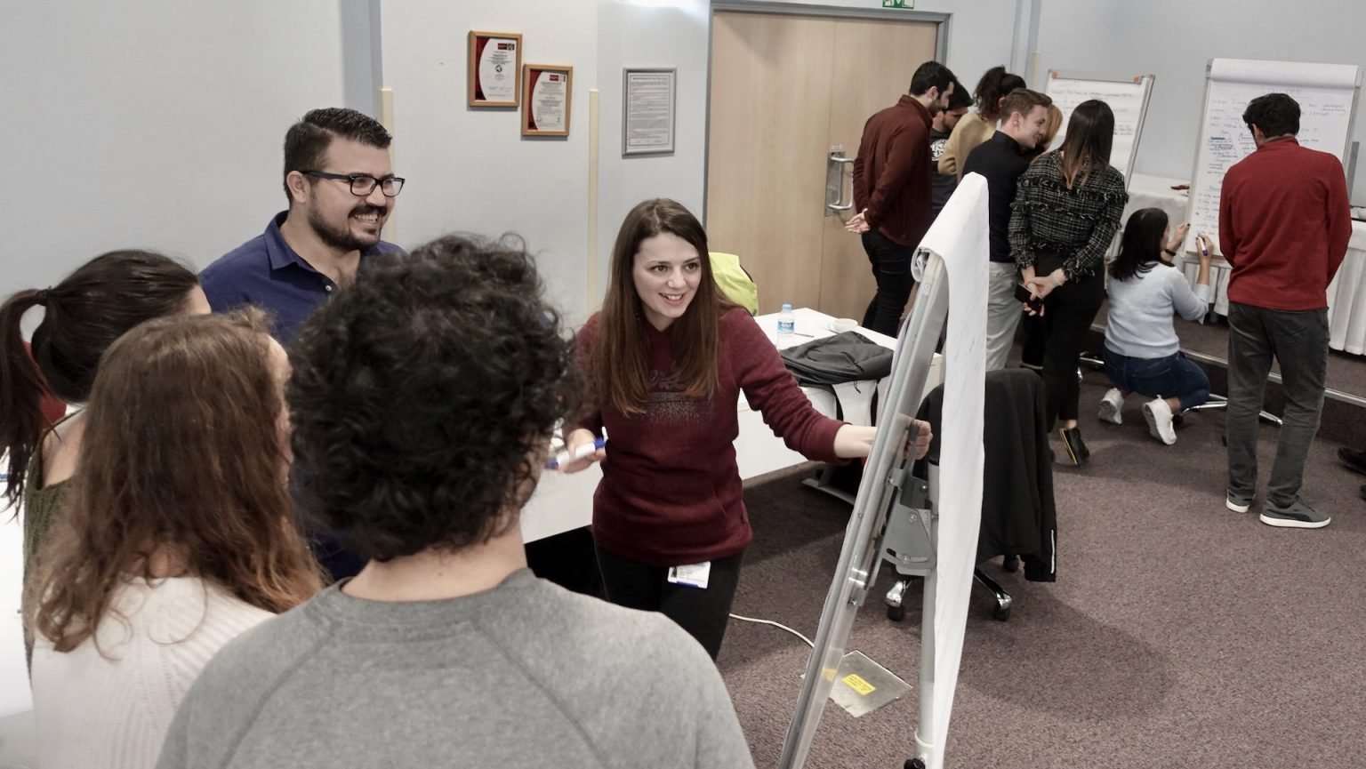 Systematic Problem Solving Program: Train Trainers