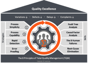 Quality Excellence Program to Reduce Defects 1000x